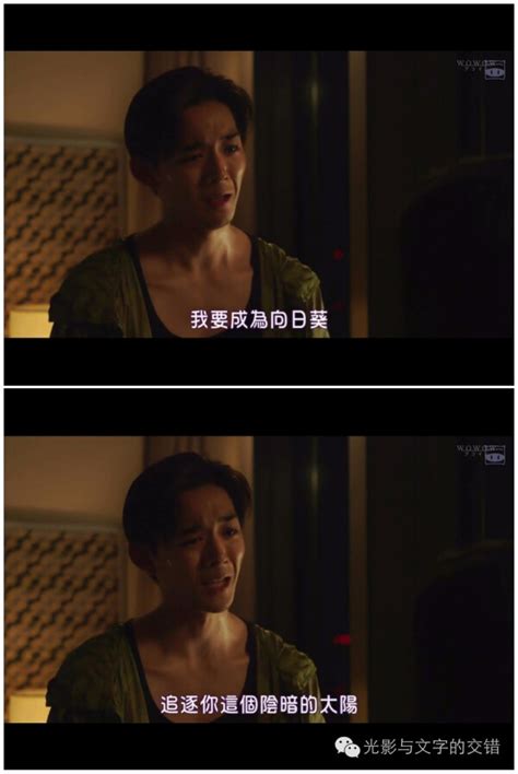 《贤者之爱》——爱情之中只有痴人，没有贤者 堆糖，美图壁纸兴趣社区