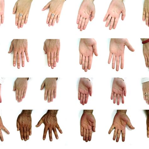 Gender Recognition And Biometric Identification Using A Large Dataset