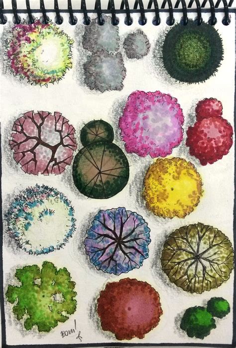 A Set Of Treetop Symbols For Architectural Or Landscape Design Artofit