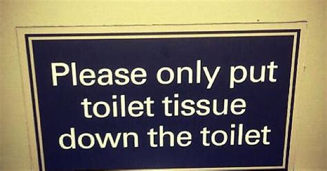 Toilet Tissue Imgur
