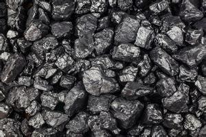 Coal And Petroleum GeeksforGeeks