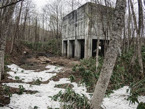 立ち枯れの木々と荒廃したコンクリートの建造物の無料の写真素材 Id79177｜フリー素材 ぱくたそ