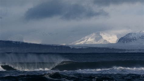 Craig Anderson The Quieter You Are The More You Can Hear Carvemag
