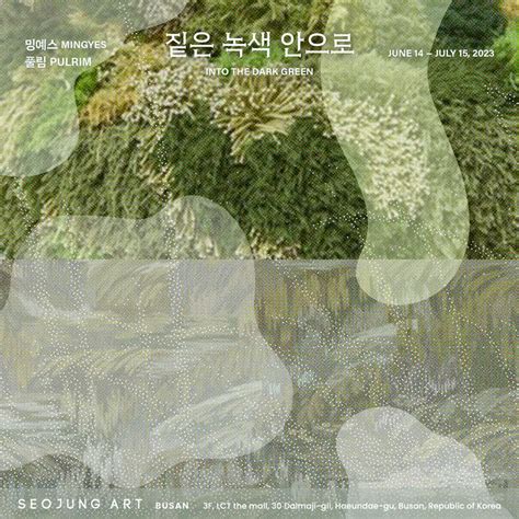 짙은 녹색 안으로 마실와이드masilwide