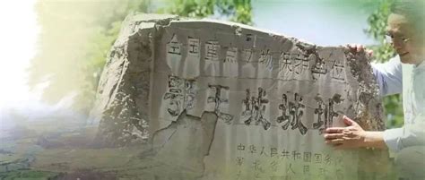 “湖北百年百大考古发现”名单揭晓，黄石三地入选遗址大冶铜绿