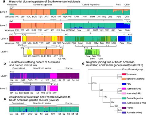 Bayesian Clustering Of South American Australian And French