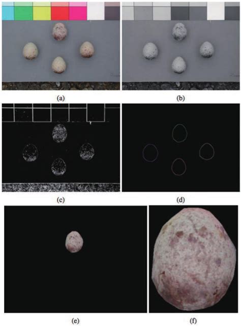 Egg Pattern Mimicry In Avian Brood Parasitism Assessed Using Local