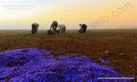 Un País Para Recorrérselo