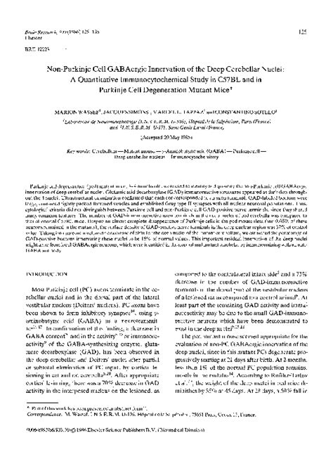 Pdf Plasticity Of Gabaergic Terminals In Deiters Nucleus Of Weaver