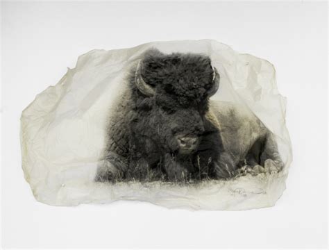 Sarah Beecham Galleries