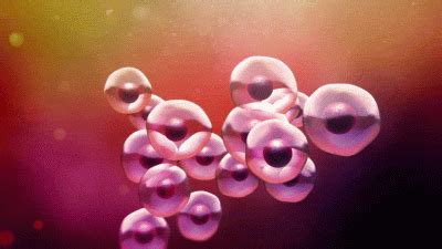 Biology News SciTechDaily
