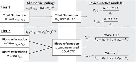 Tiered Approach And Workflow For Parameterizing Toxicokinetics Models