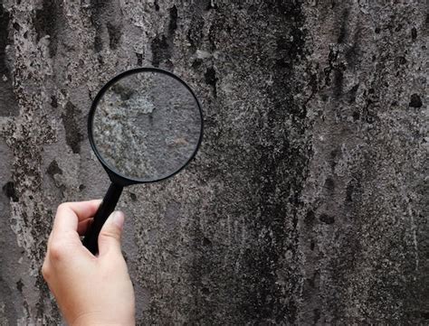 Premium Photo Cropped Of Hand Of Person Holding Magnifying Glass