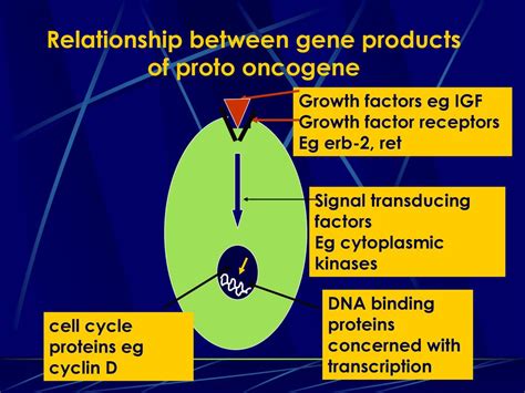 Carcinogenesis Ppt Download