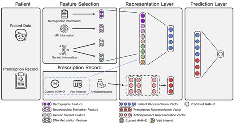 Arpnet Antidepressant Response Prediction Network For Major Depressive Disorder