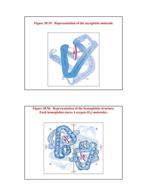 Hybridization In Transition Metals Pdf