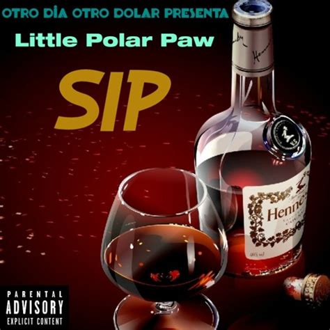 Stream Little Polar Paw Sip By Little Polar Paw Listen Online For