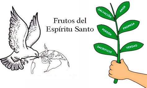 ¿qué Son Los Frutos Del Espíritu Santo Y Cómo Pueden Cambiar Tu Vida