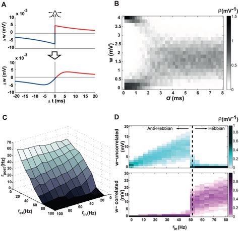 Jittered Stdp A A Random Symmetric Jitter Of The Unshifted Stdp Download Scientific Diagram