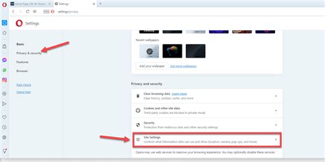 Enabling Pop Ups Within Internet Browsers W W Norton