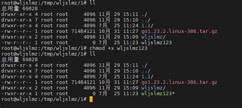 作为linux初学者，这25个命令一定要会！零基础入门到精通，收藏这一篇就够了新手必须掌握的linux命令linux基础命令 Csdn博客