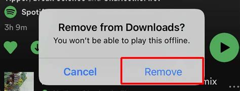 How To Fix Spotify Lyrics Not Showing