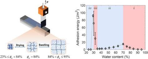 含水量对聚丙烯酰胺水凝胶物理附着力的影响polymer X Mol