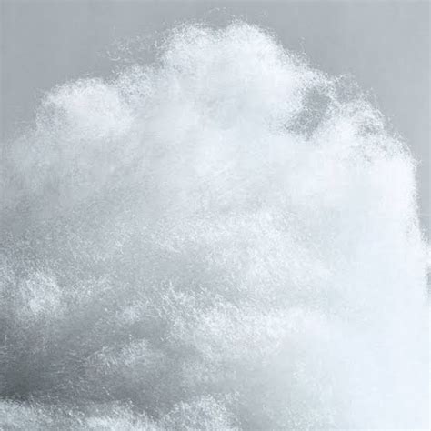 Class A Fiber Fillings Shopee Philippines