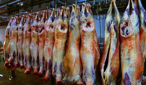 Өвлийн идэш худалдаанд махнаас гадна дайвар бүтээгдэхүүн сүү цагаан