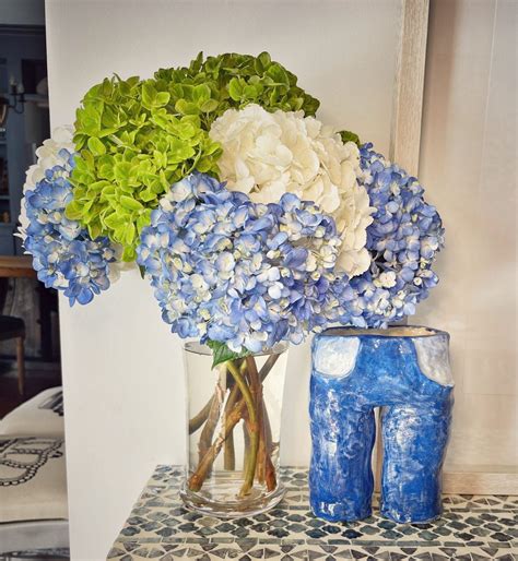 How To Encourage Hydrangeas To Get Happy Dana Corriel Md