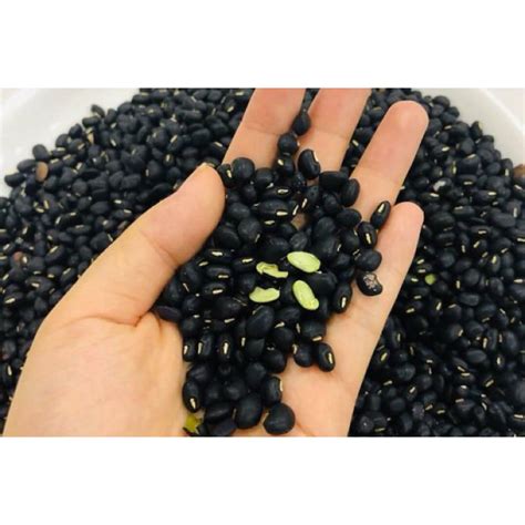 Dau Den Long Xanh Vietnam Black Bean 500g Shopee Singapore