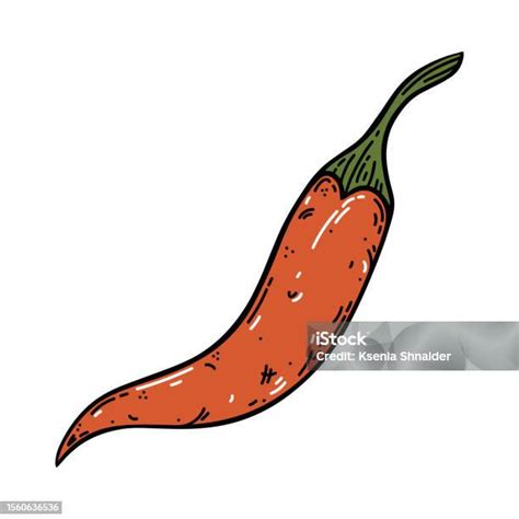 빨간 고추 벡터 아이콘입니다 신선한 칠리 야채 멕시코 아시아 음식의 매운 조미료 손으로 그린 그림은 흰색으로 분리되어 있습니다