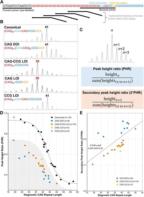 Ascertainment Of Uninterrupted Cag Repeat Length And Disease Modifying Variants In Fragment