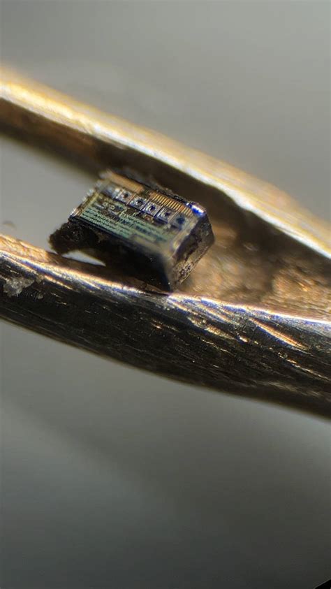 Microchip Vs Needle By Posoco2000 On Deviantart