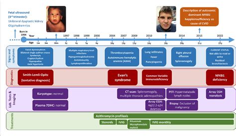 Figure 1 From Common Variable Immunodeficiency And Neurodevelopmental