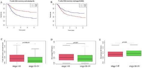 Infiltrating Immune Cells In Gastric Cancer A Novel Predicting Model