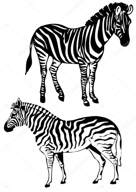 Zebra Vector — Stock Vector © Beaubelle 3266091