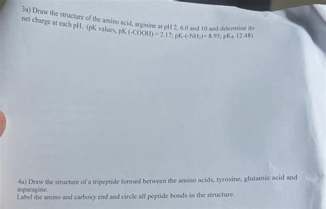 Solved 3a Draw The Structure Of The Amino Acid Arginine At