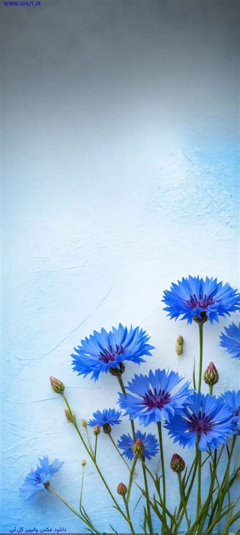 عکس بک گراند آبی