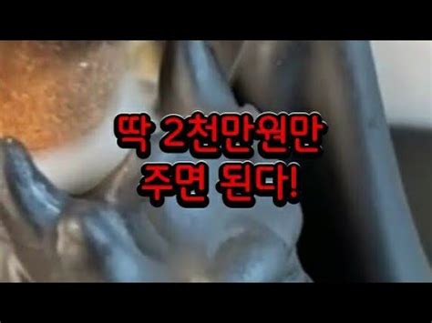 여동생 보험금 내놓으라는 시어머니 썰 사연 시댁 YouTube