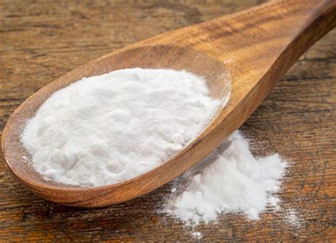 Can Dogs Take Baking Soda