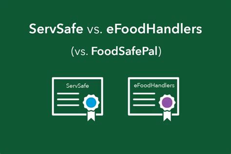 Must Know Nursing Home Food Temperature Regulations Foodsafepal®
