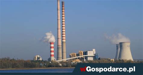 Marcin Korolec UE powinna odejść od kosztownej polityki klimatycznej