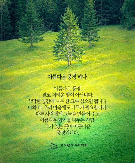 고도원의 아침편지 아름다운 풍경 하나 마음에 아름다운 풍경 하나를 간직한 사람을 찾기 힘들다 그래서 건축과 특정 장소에는 특히 나무가 필요하다 나무는 풍경을 만든다