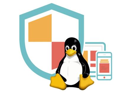 О безопасности информационных систем использующих ядра Linux Bytere