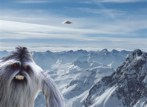 Yeti
