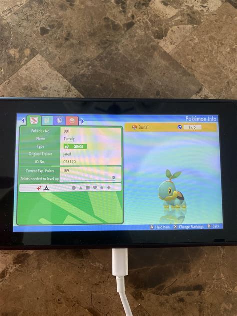 Shiny Turtwig After Three Days Of Resets Rpokemonbdsp