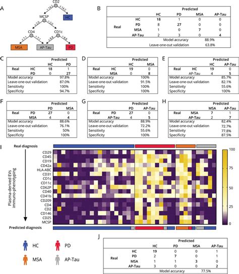 Random Forest Rf Modeling To Predict Diagnosis And Its Validation In
