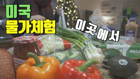 미국 브이로그 🏡 미국 물가체험 이 곳에서 L 마트 장보기 🛒 냉장고 정리 현실판 L 야매 돼지갈비덮밥 길거리 토스트 L