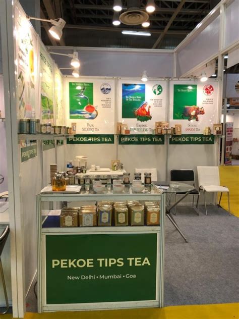 Attending The Gi Fair At Expo Mart Greater Noida India